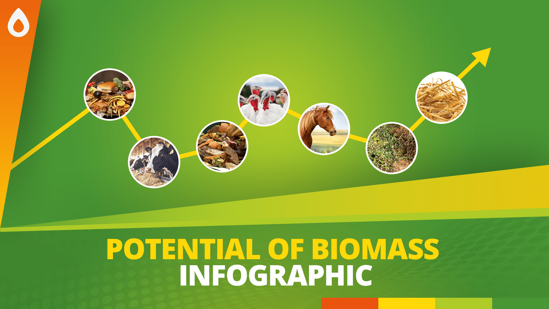 Biomass Potential in Digestion Technologies - Infographic